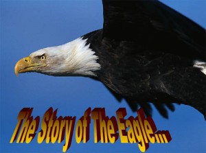 The Chicken and the Eagle Story - NetHugs.com