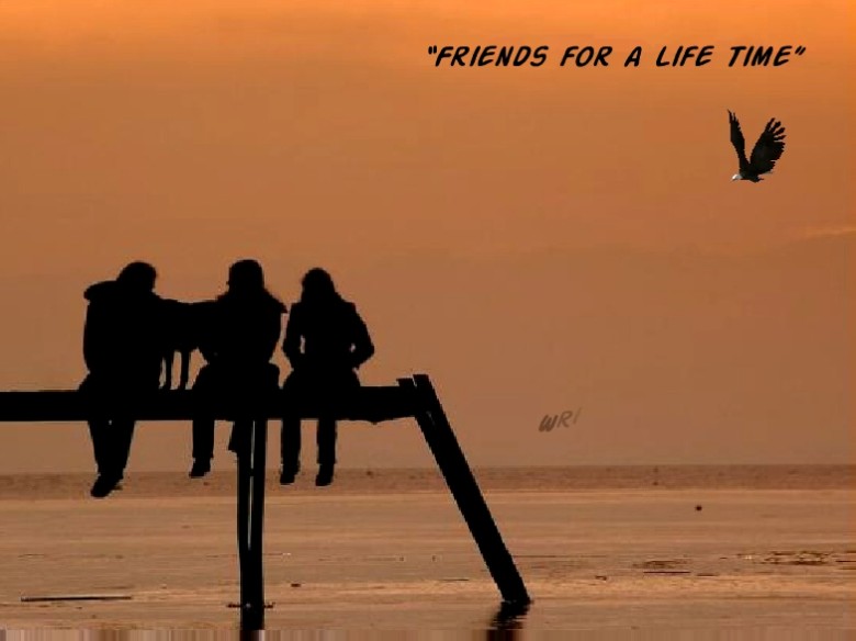 Friends for a Lifetime - NetHugs.com